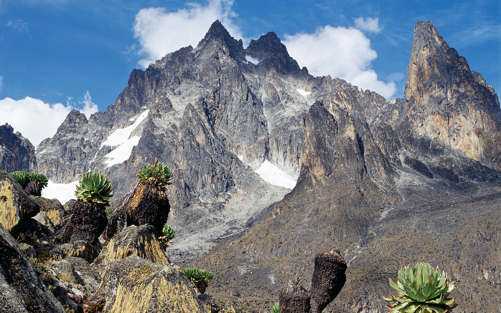 3-Day Mount Kenya Trek via Sirimon Route | Hiking Tour